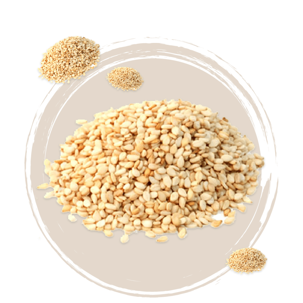 Sésame - Graines et Légumineuses - Soufiane Foods importateur de fruits ...