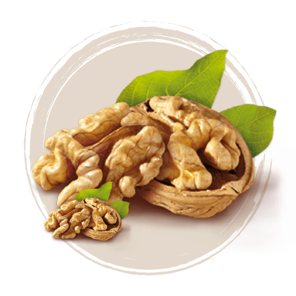 Les noix - Fruits secs - Soufiane Foods importateur de fruits secs Maroc